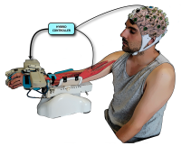 Research | RamosLab